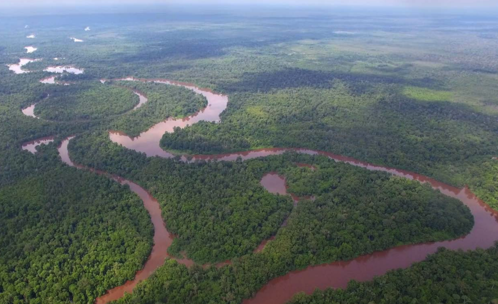 Rungan River: Save the Orangutan's New Land