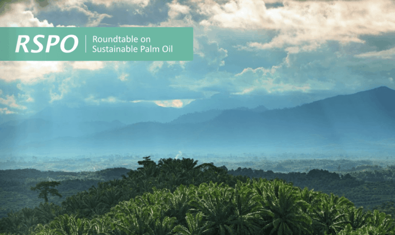 What Is RSPO (Roundtable on Sustainable Palm Oil)? Save the Orangutan