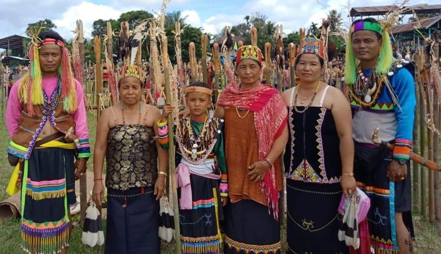 The importance of culture for the Dayak Wehea tribe - Save the Orangutan