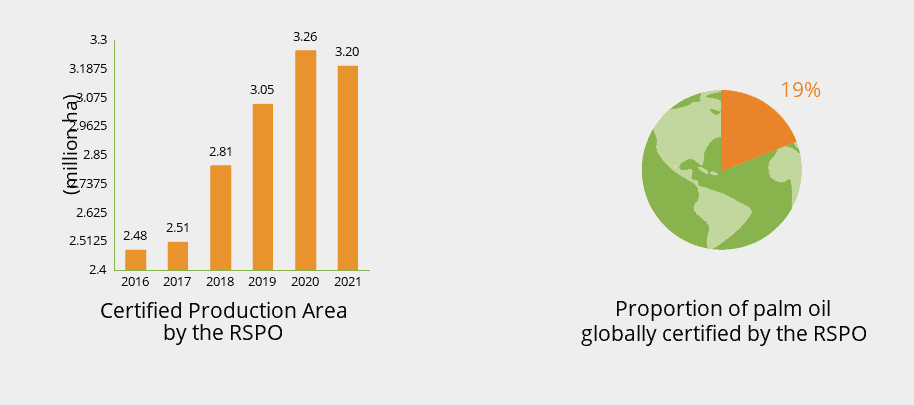 What Is RSPO (Roundtable on Sustainable Palm Oil)? Save the Orangutan
