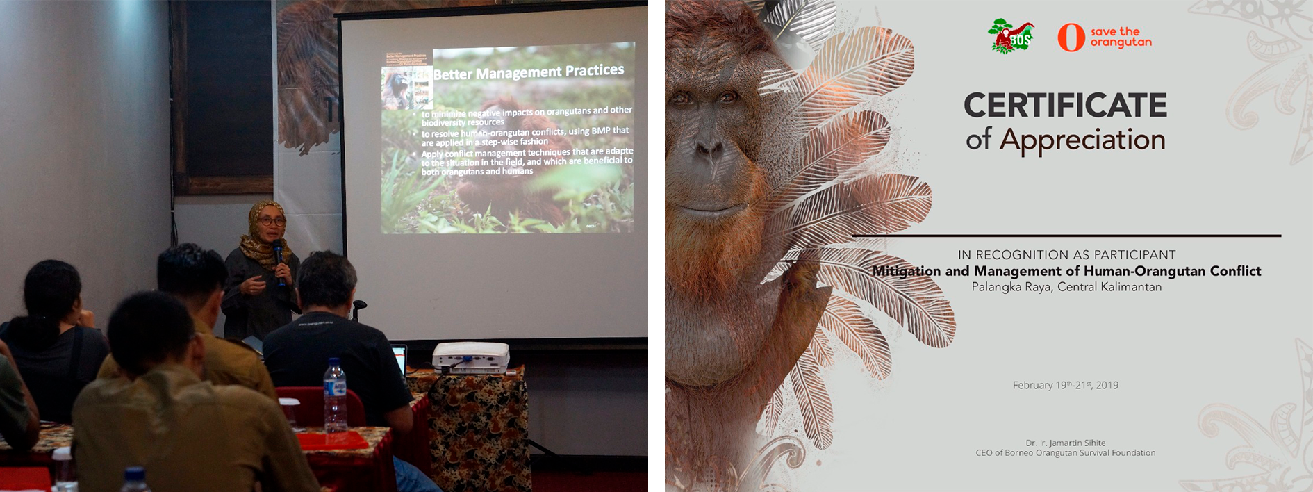 New Human Orangutan Conflict Mitigation Project Save The Orangutan